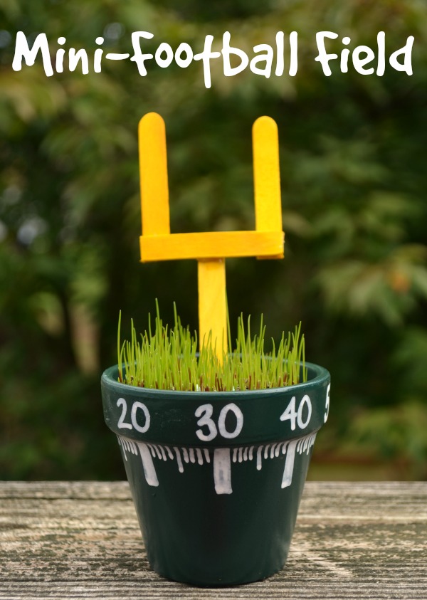 25 Clever DIY Super Bowl Decor Ideas - Smart Party Ideas